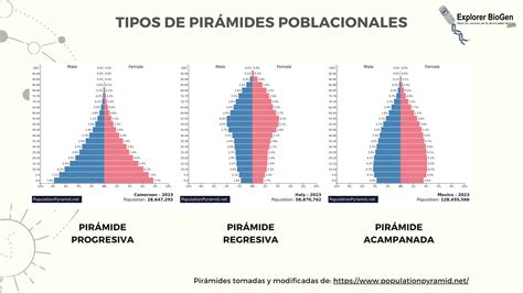 Estructura Y Desarrollo Económico Y Político De La Población Explorer