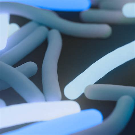 Celebrating 10 Years Of Innovation In Tb Research By The Nanopore Community