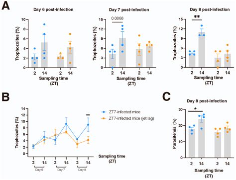 Figure 5 From Time Of Day And Circadian Disruption Influence Host Response And Parasite Growth