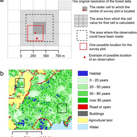 A Example Of A Survey Plot On The Modified Environmental Raster Layer Download Scientific