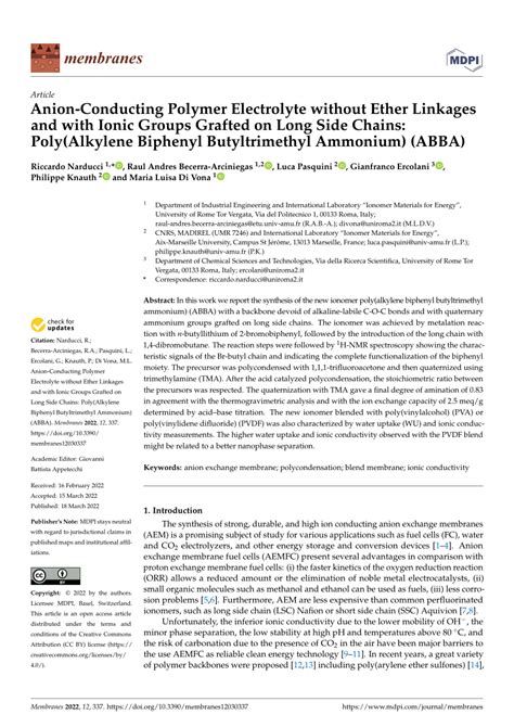Pdf Anion Conducting Polymer Electrolyte Without Ether Linkages And With Ionic Groups Grafted