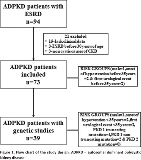 Figure 1 From Predicting The Risk Of Progression In Indian ADPKD Cohort Using PROPKD Score A