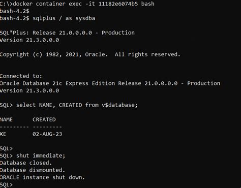Oracle Database As Docker Container Thinkingaboutdata