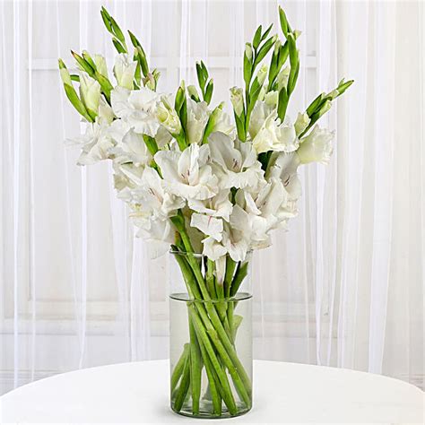 Buysend Gladiolus Flowers Arrangement In Glass Vase Online Fnp