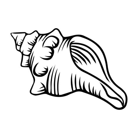 Hand Drawn Illustration Conch Shell Line Art 48942156 Vector Art At Vecteezy