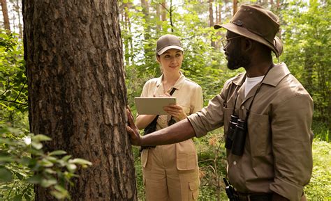 Revolutionizing Wildlife Tourism The Indispensable Role Of Technology And Innovation