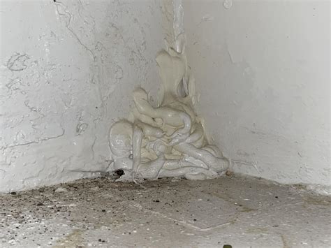 Cockroach Nest Rpestcontrol