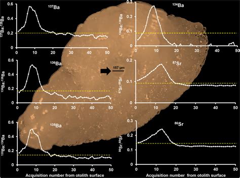 Six Mark Enriched Stable Isotope Fingerprint Scans Of Six Enriched