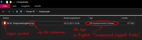 How To Correctly Install Mods CC Sims After Dark