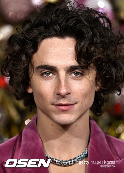 웡카 티모시 샬라메 조니 뎁 존경 찰리와 초콜릿 공장과 다르다 [oh Llywood] Osen