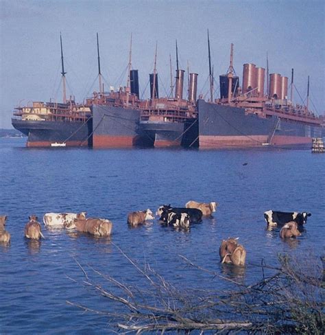 A Postcard Promoting The Never Completed Rmmv Oceanic Iii Oceanlinerporn