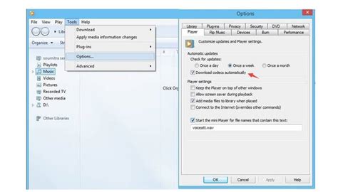 Formatfactory You Must Install Codecs Lemonjas