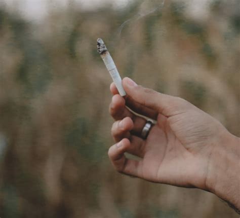 impact of cigarette smoking on sperm parameters lev liv