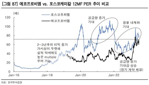 에코프로비엠 현지 수직계열화 내 이미지 이투데이
