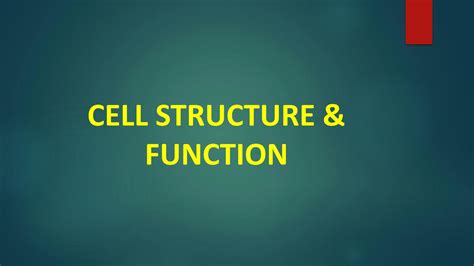 SOLUTION Cell Structure And Functions Studypool SOLUTION Cell Structure And Functions Studypool