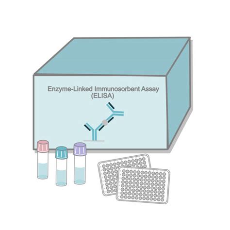 7 Key Benefits Of Using Elisa Kits In Laboratory Testing Biomatik
