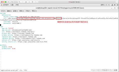 搭建测试环境（Linux、mysql、jdk、tomcat、nginx、redis、maven)-CSDN博客