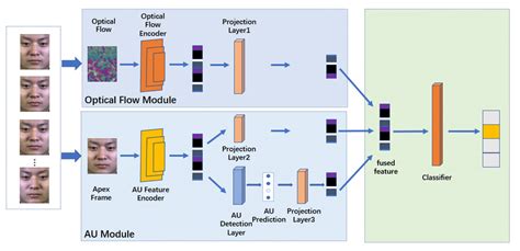 Micro Expression Recognizer Incorporating Action Units Merau