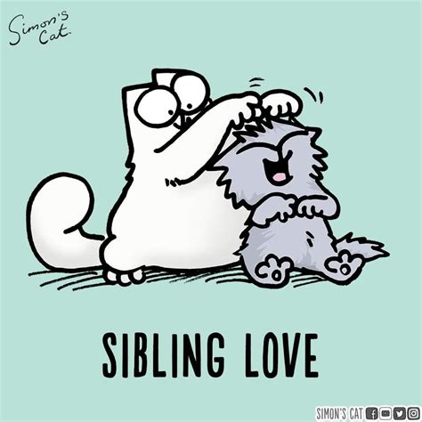 Pin Von Emily B Auf Simons Cat And Kitten Simons Katze Simons Cat Katzen