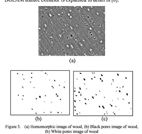 Figure 3 From Tropical Wood Species Recognition System Based On Multi Feature Extractors And