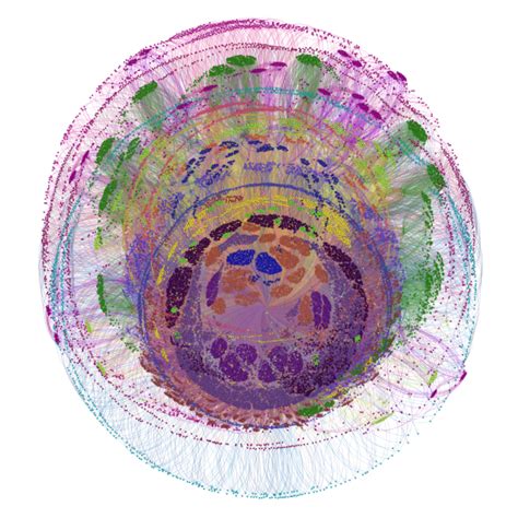 Miscellaneous Coder Coding Anything And Beyond
