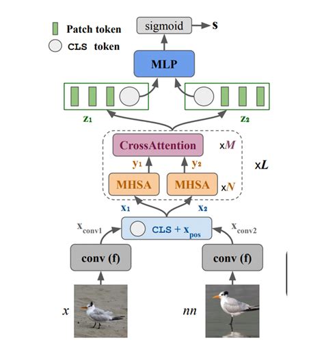 Mohammad Reza Taesiri