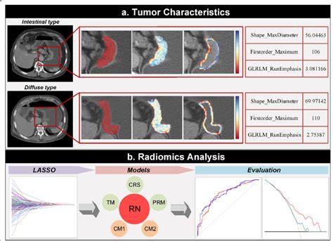 Experimental Design Flowchart Lasso Least Absolute Shrinkage And Download Scientific Diagram