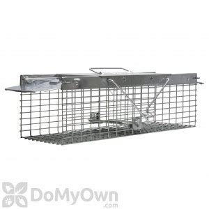 Havahart Live Trap How To Live Trapping Havahart Cage