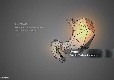 위 소화 기관의 치료의 개념 낮은 폴리 와이어 프레임 스타일 의학 기술 회색 배경에 격리 된 추상 그림입니다 파티클은 실루엣으로