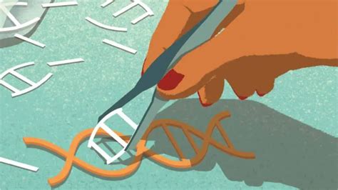 Polymerase Chain Reaction Definition Principle Steps Procedure