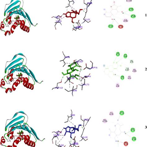 2d And 3d Representations Of The Predicted Binding Modes Inside The