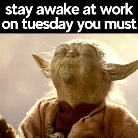 Best Tuesday Memes 20 Funny Images You Must Share