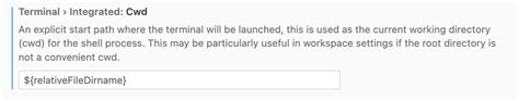 VS Code Integrated Terminal Variable Cannot Be Resolved Stack Overflow