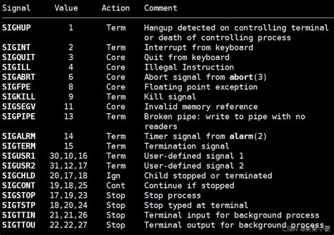 【linux】信号 csdn博客