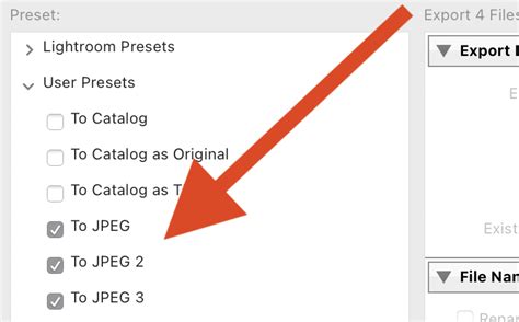 P Export To More Than One Folder At The Same Time Adobe Community