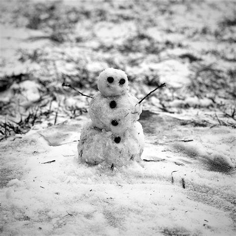 Lindsey Mckeehan Added A New Photo Lindsey Mckeehan