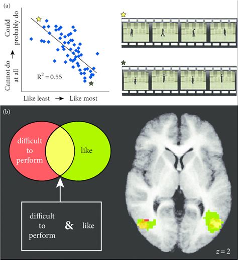 2 Summary Of Behavioral And Neuroimaging Findings From Cross Et Al Download Scientific Diagram