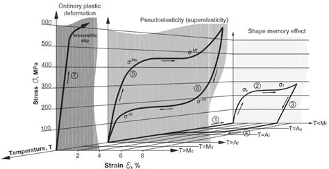 Typical Stress Strain Curve Of Superelastic Shape Memory Alloy Under Download Scientific