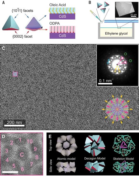 Single Component Quasicrystalline Nanocrystal Superlattices Through