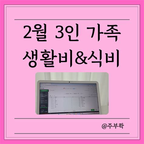 3인 가족 한 달 생활비 식비는 얼마 2월 가계부 네이버 블로그