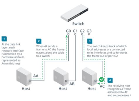 Ch Comparing OSI Model Network Functions Flashcards Quizlet