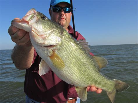 The Skeeter Boat Company Texas Fishing Guide