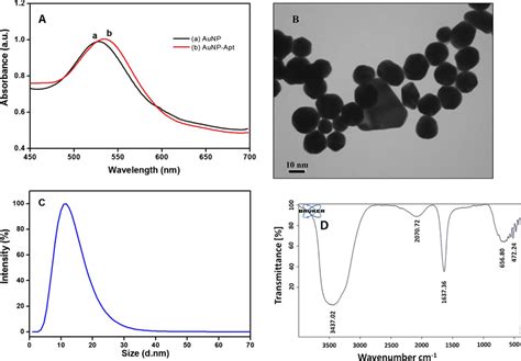 Characterization Of Aunps And Aptamer Capped Aunps A Uvvis Absorption