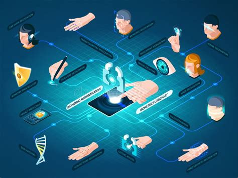 Biometric Authentication Methods Isometric Flowchart Stock Vector Illustration Of