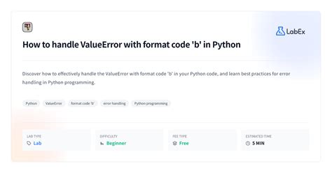 How To Handle Valueerror With Format Code B In Python Labex How To Handle Valueerror With Format Code B In Python Labex