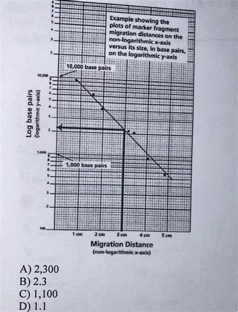 Solved 31 A Dna Sample Was Digested With A Restriction Solved 31 A Dna Sample Was Digested With A Restriction