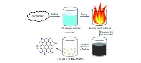 Schematic Illustration Of The Preparation Of Ns Co Doped Cqds This