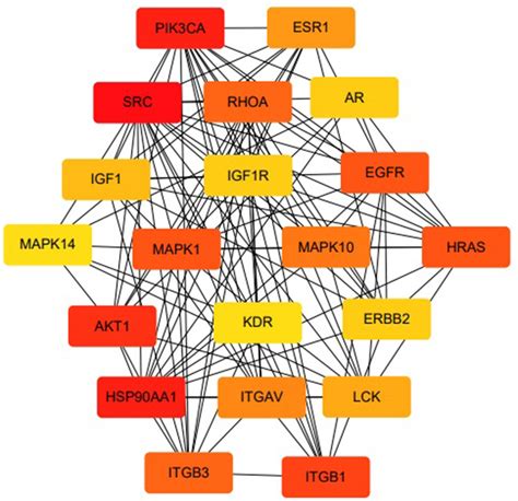 Top 20 Core Genes In Terms Of Degree Download Scientific Diagram