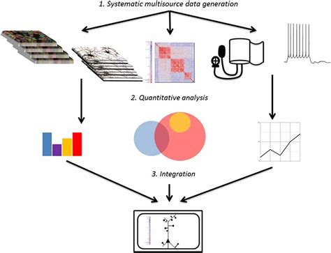 Overall Workflow Schematic Systematic Raw Data Sets From Diverse