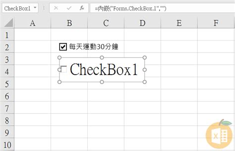 Excel核取方塊 勾選方框 調整文字大小 Lazyorangelife
